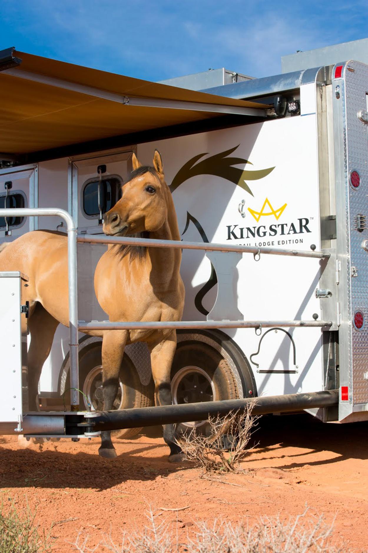 Horse & Rodeo Camping | Kingstar